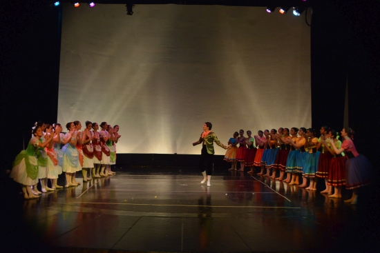 Brisé Escuela de Danza y Ballet en León, Guanajuato